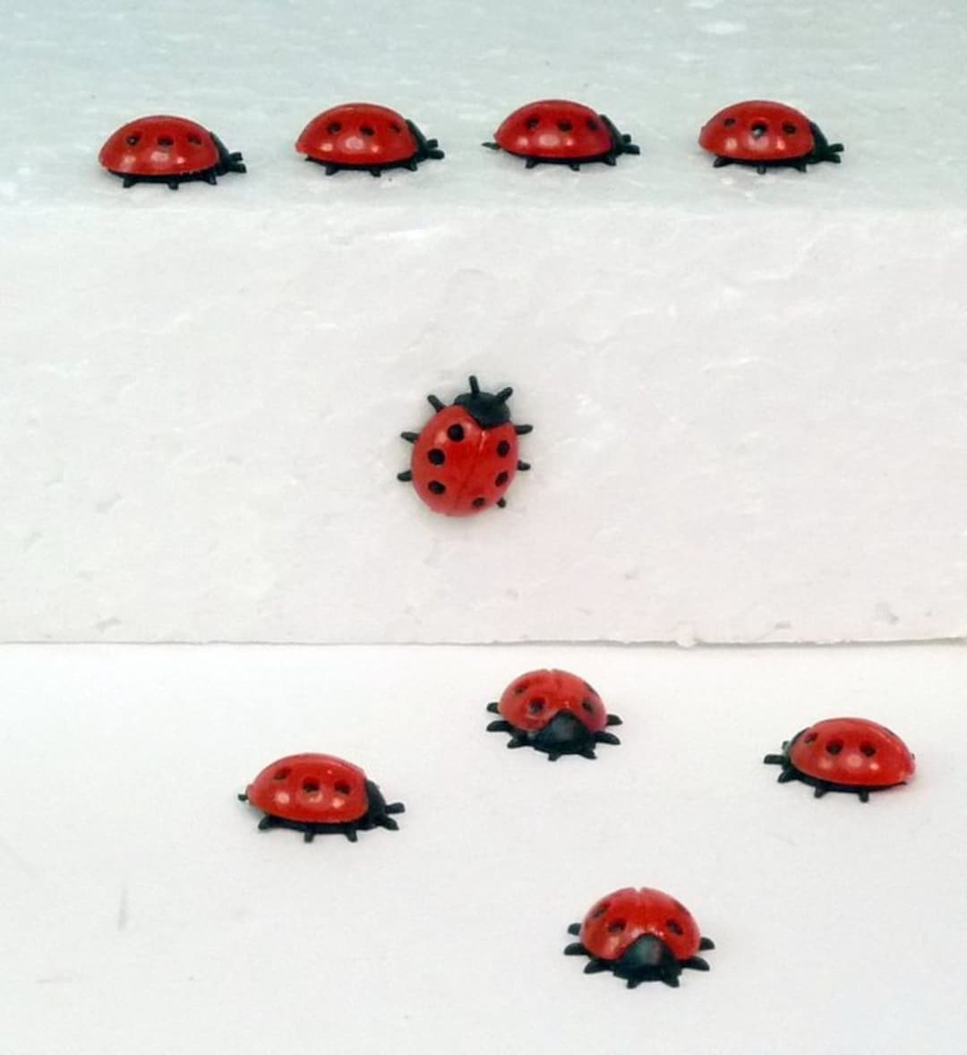 German Ladybugs Miniature Medium Set of 6 | German Import | Craft ...
