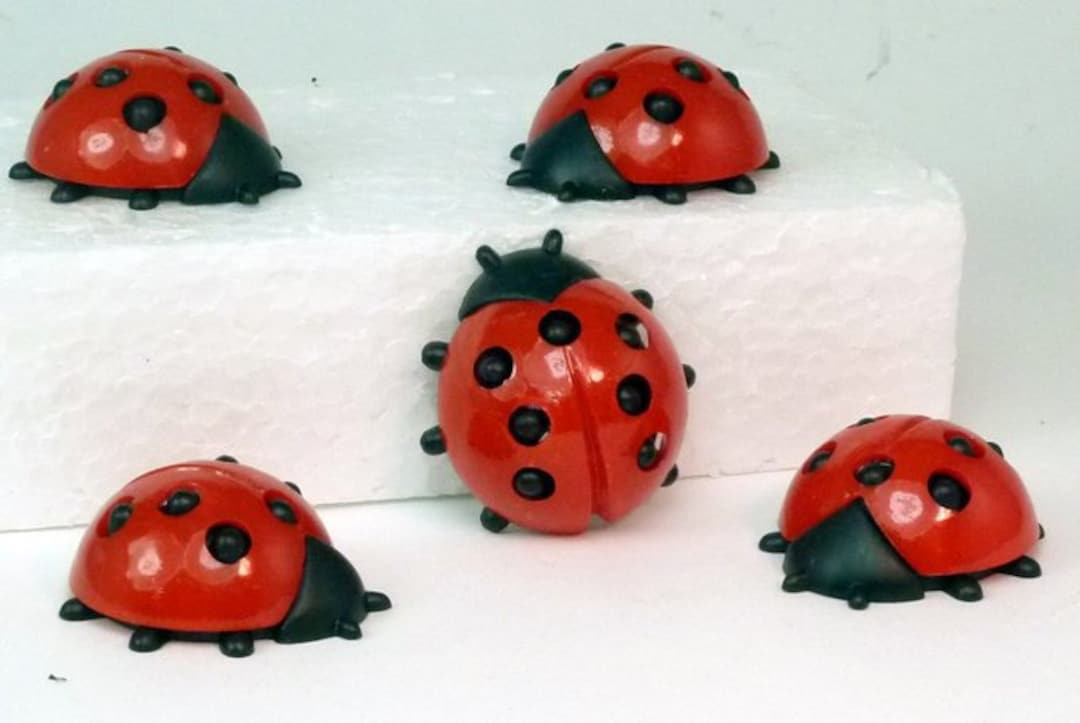 German Ladybugs Miniature Extra Large Set of 6 | German Import | Craft ...