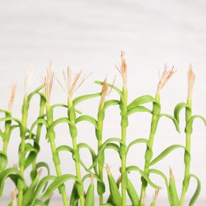 Corn Stalks Miniature G Scale | Farm Fresh Miniature | Corn Stalk ...