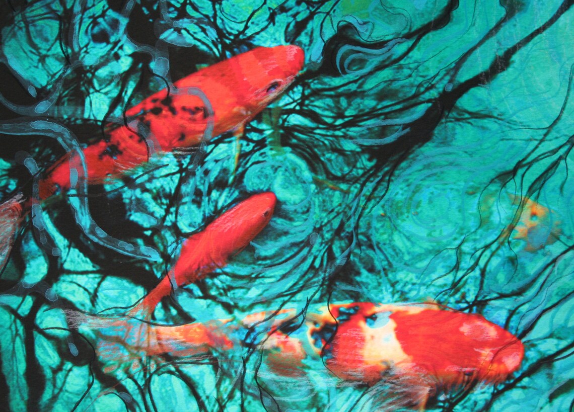Moonlight Swim 11x17 Inches Koi Wall Art Original Koi Art - Etsy