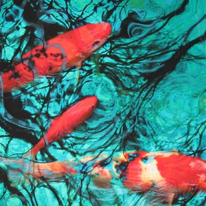 Moonlight Swim, 11x17 Inches, Koi Wall Art, Original Koi Art, Water ...