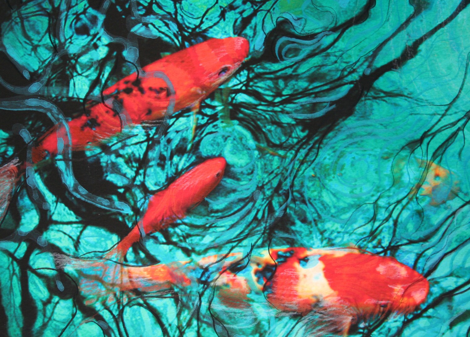 Moonlight Swim, 11x17 Inches, Koi Wall Art, Original Koi Art, Water ...