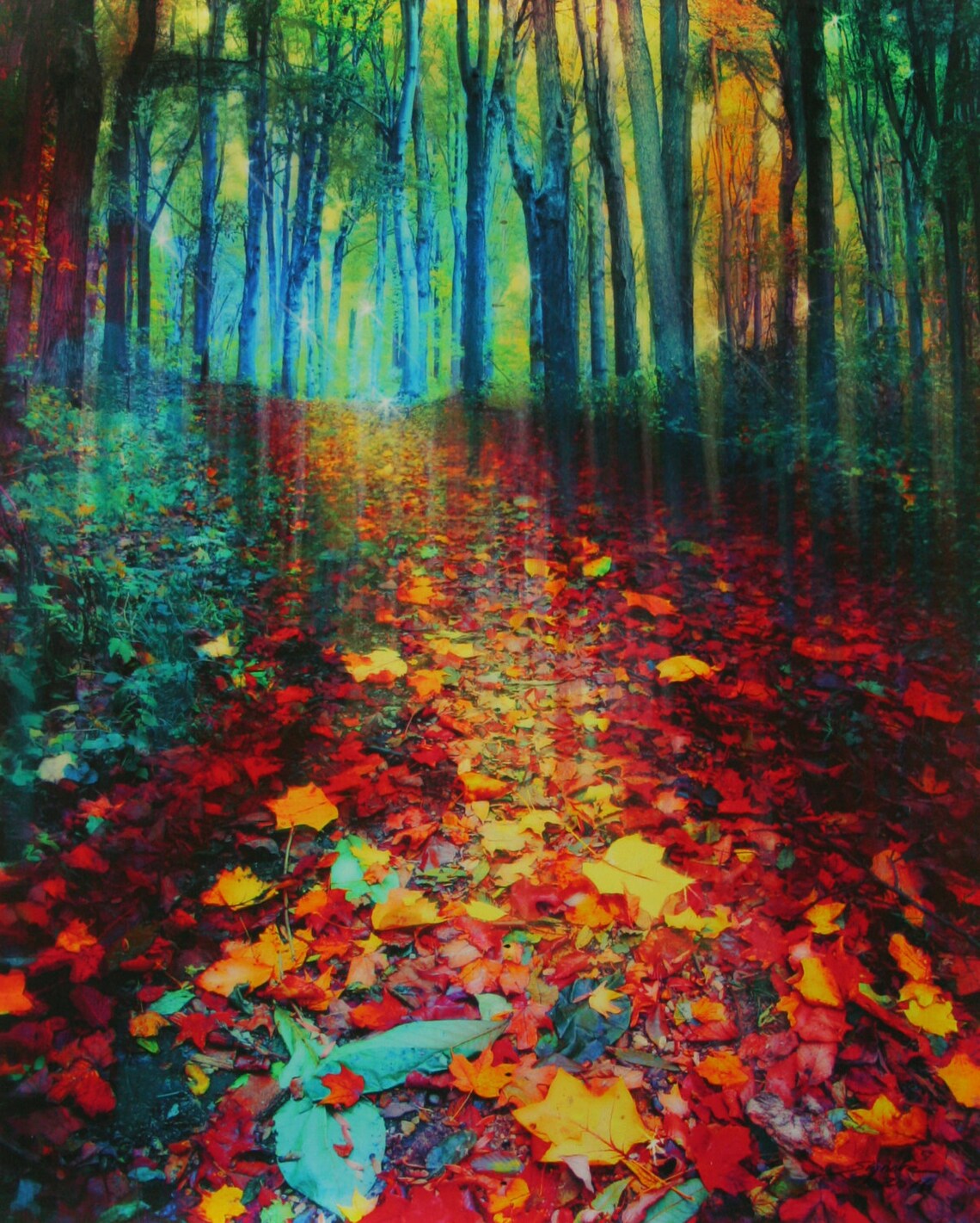 16x20 Inches Originalsignedwhere Leaves Gather Fine Art - Etsy