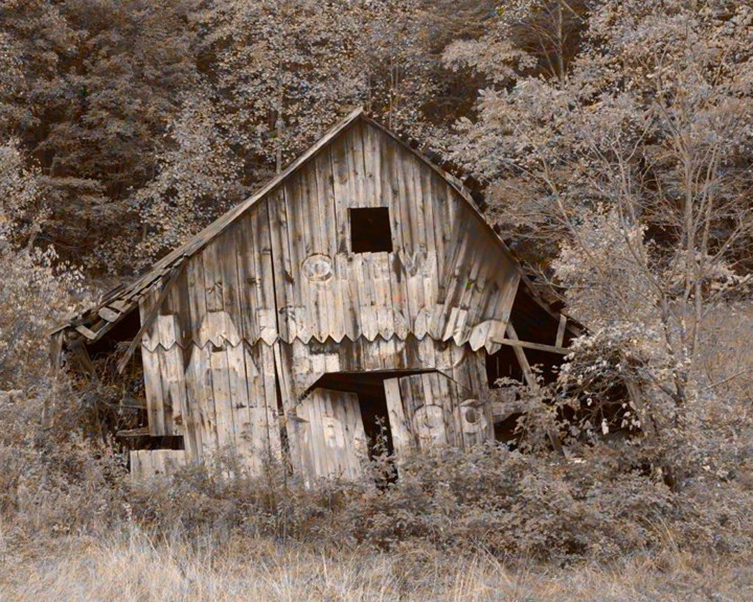 Mail Pouch Barn, Rural America, Fine Art Photography, 8 X 10 Rustic ...