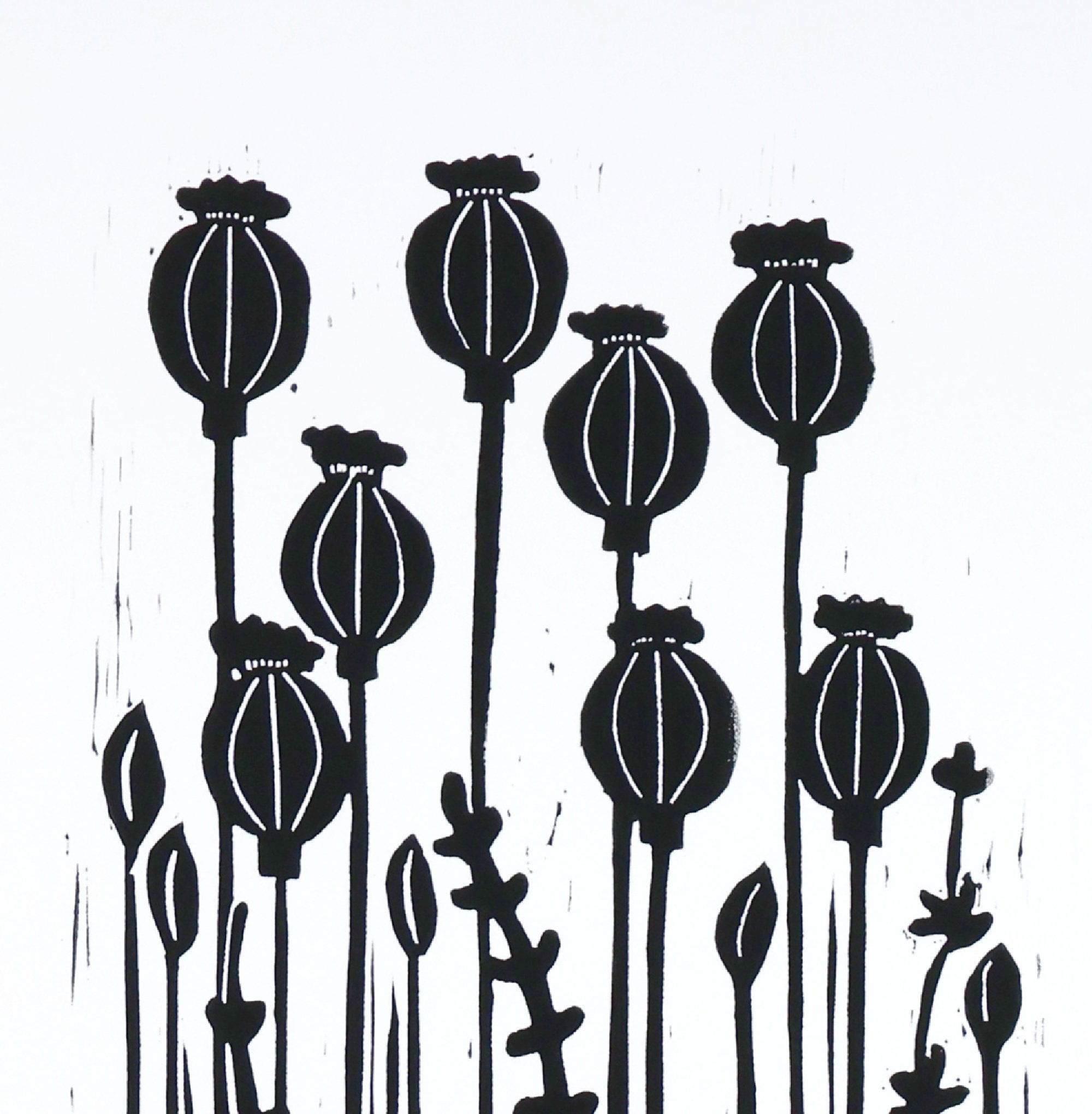 Linocut, Poppy Pods, Handprinted, Signed, Mariann Johansen-ellis, Black ...