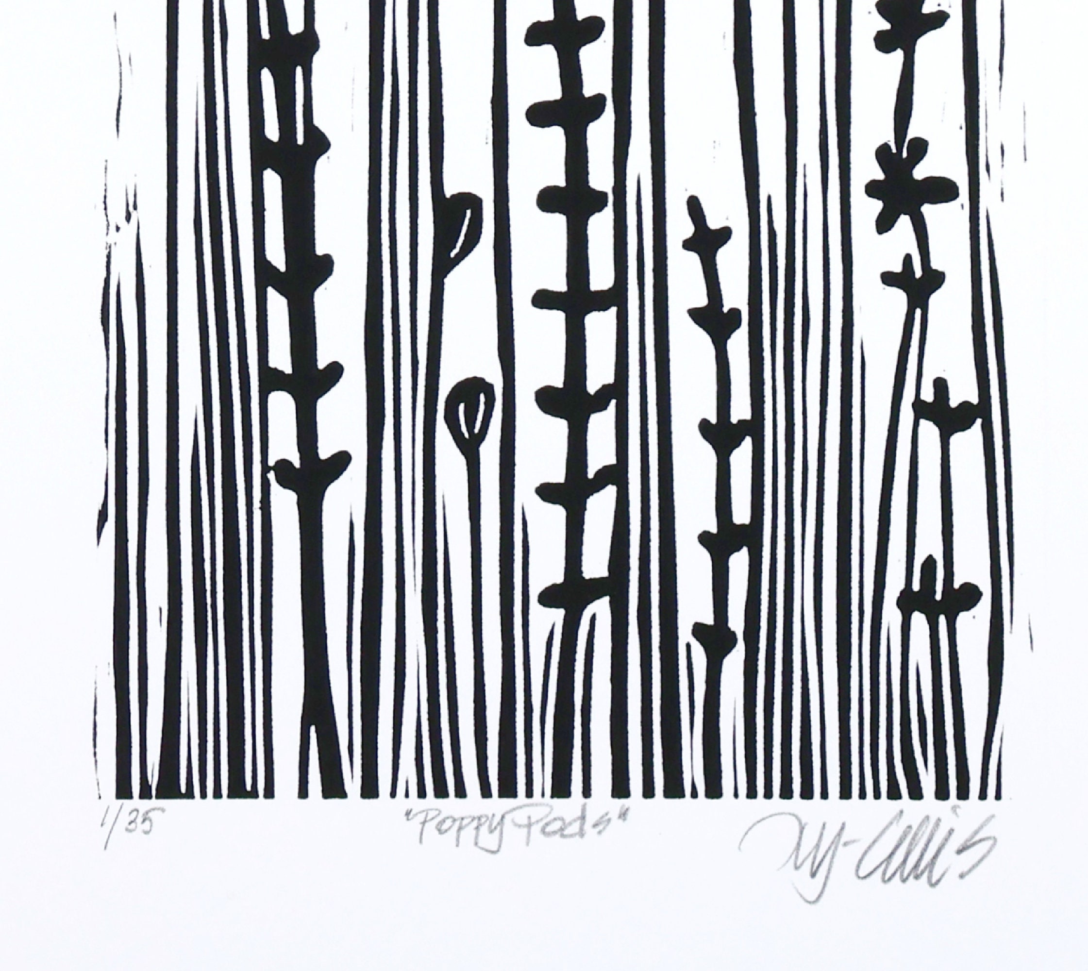 Linocut, Poppy Pods, Handprinted, Signed, Mariann Johansen-ellis, Black ...