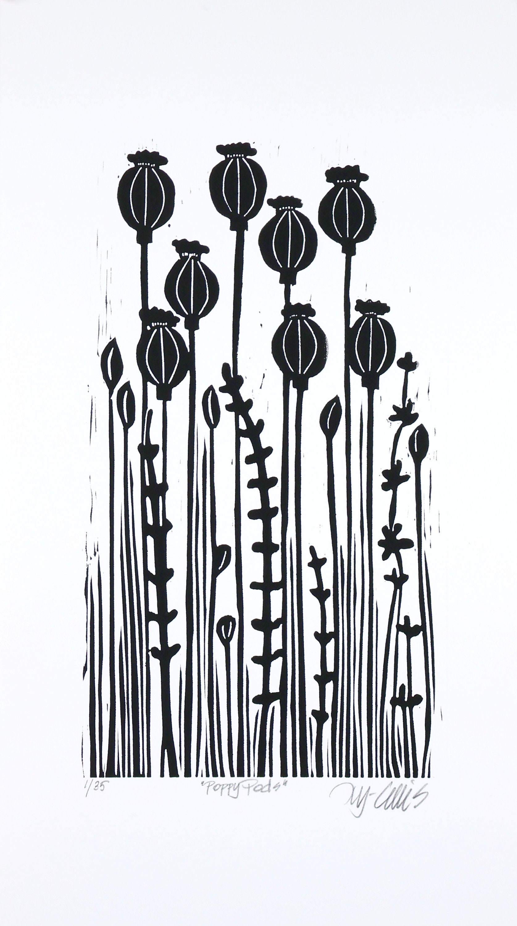 Linocut, Poppy Pods, Handprinted, Signed, Mariann Johansen-ellis, Black ...