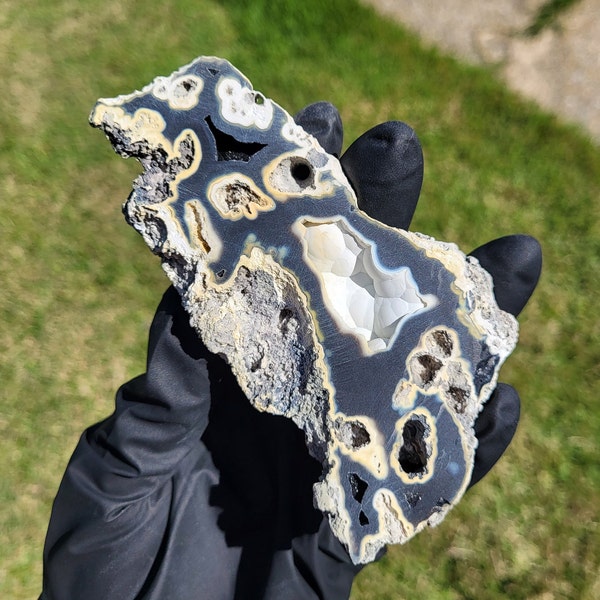 Coral Specimen - Etsy