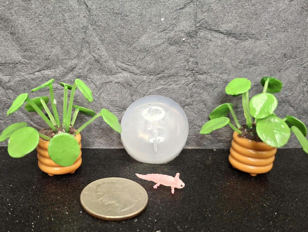 Axolotl Silicone Mold: 1/6 Scale Miniatures (best for UV Resin) - Etsy