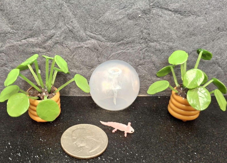 Axolotl Silicone Mold: 1/6 Scale Miniatures (best for UV Resin) - Etsy