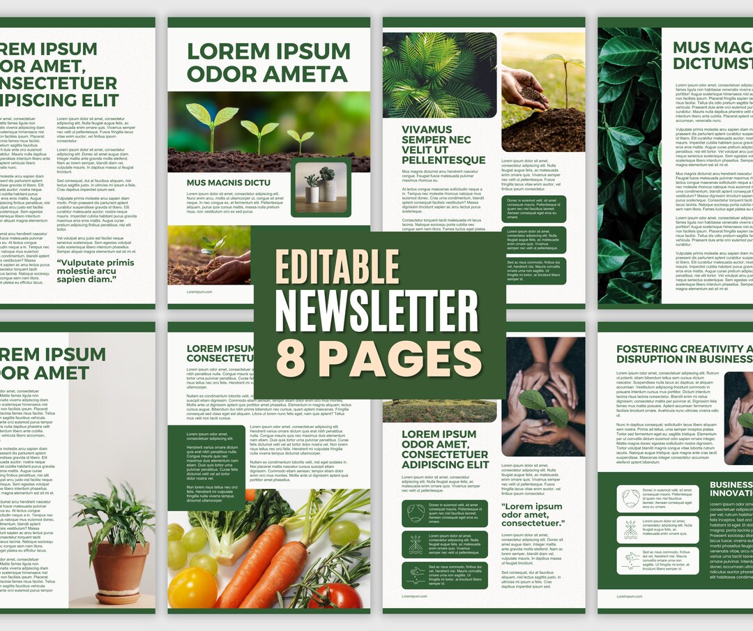 EDITABLE Newsletter Template, 8 Page Canva Templates, Monthly, Real ...