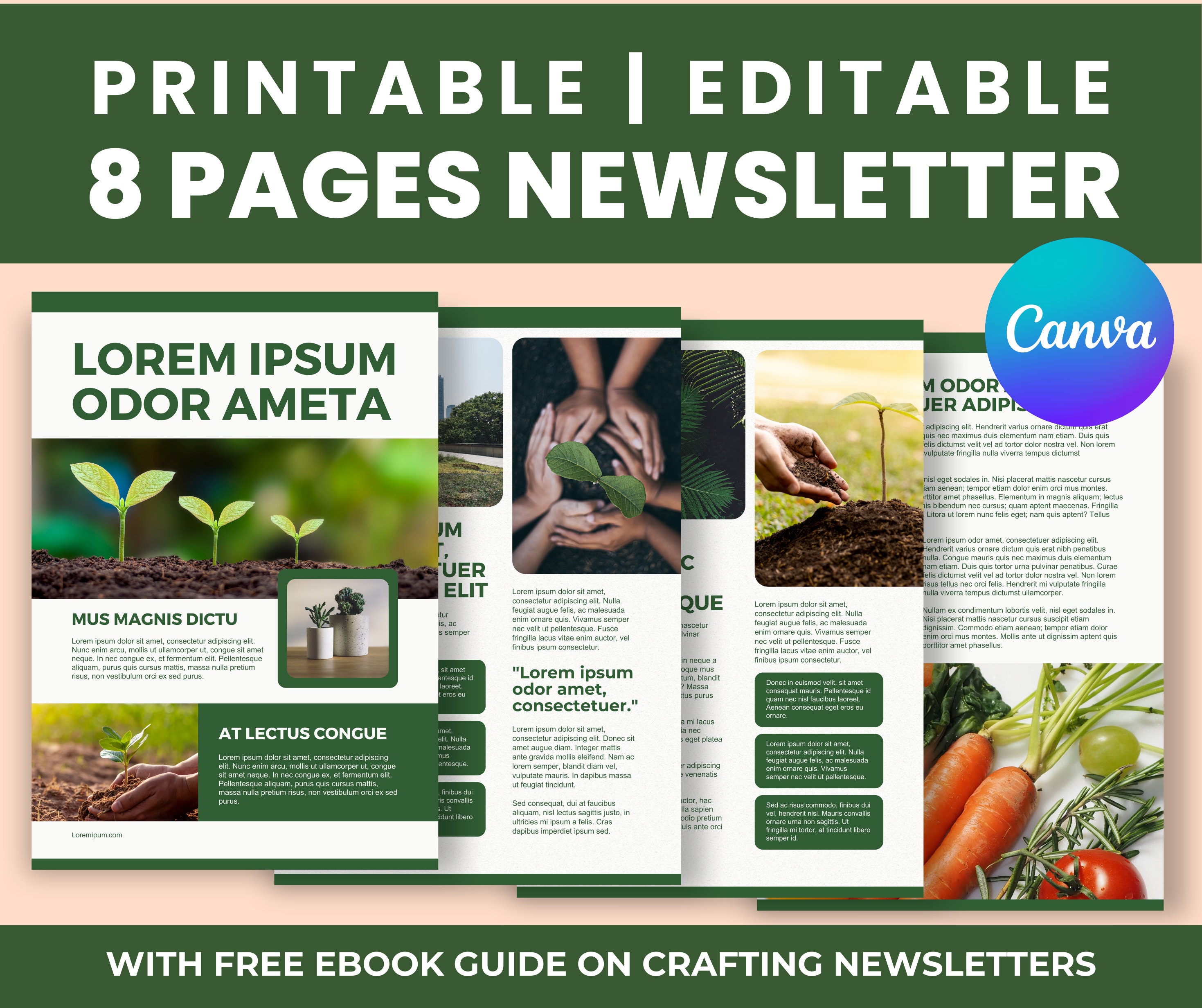 EDITABLE Newsletter Template, 8 Page Canva Templates, Monthly, Real ...