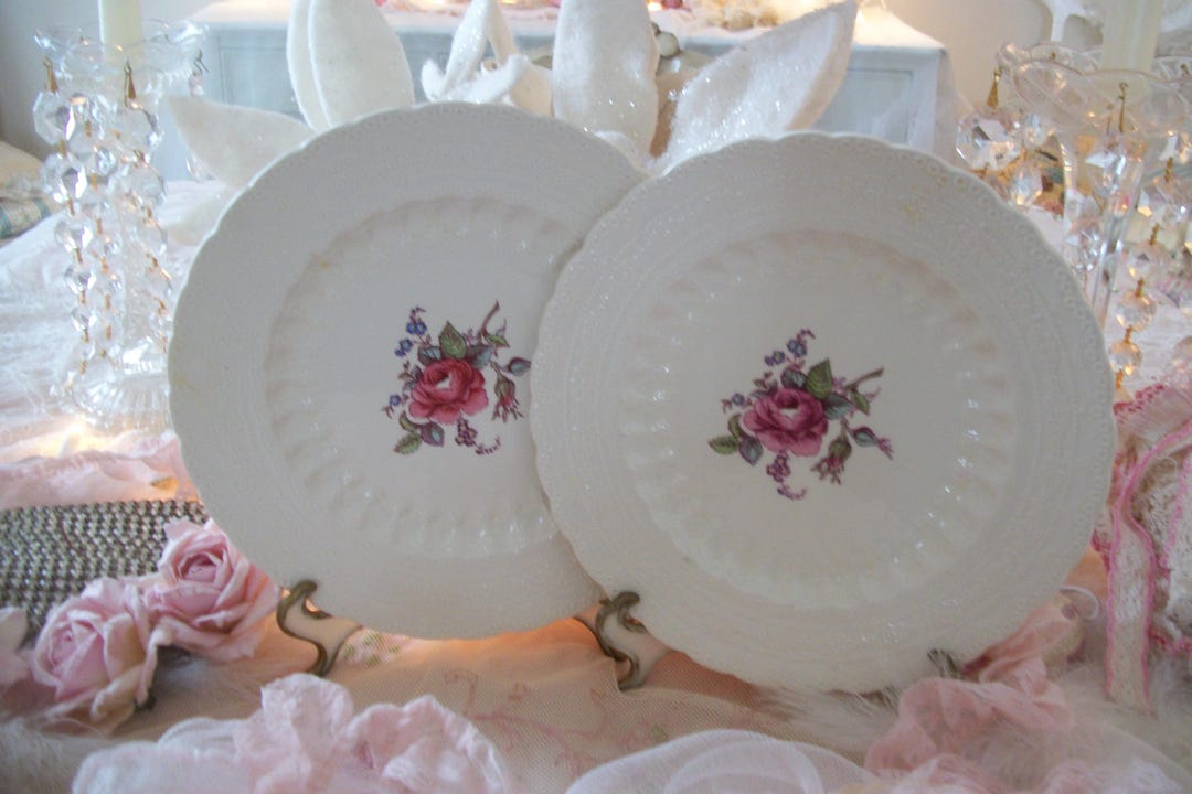 2 Salad Plates Vintage Spode 'billingsley Rose' China, Cream Lace ...