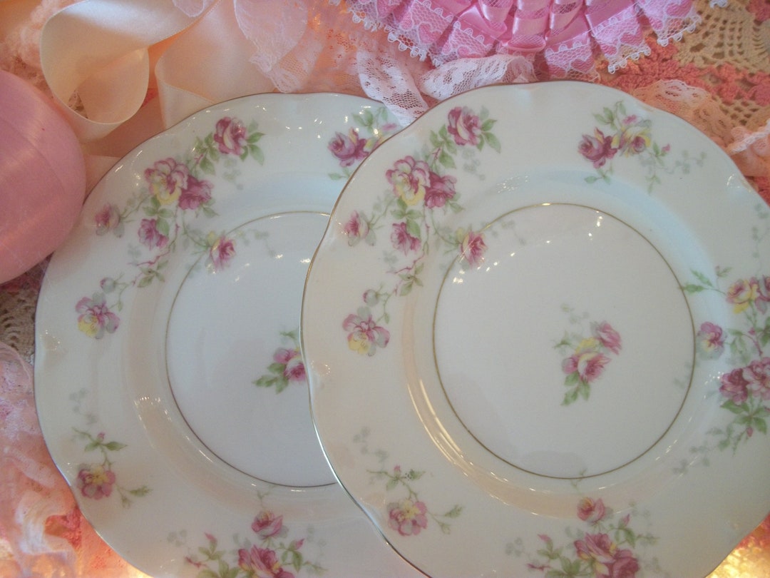 2 Vintage Haviland Salad Plates, Pink Roses Floral Print China, Theo ...