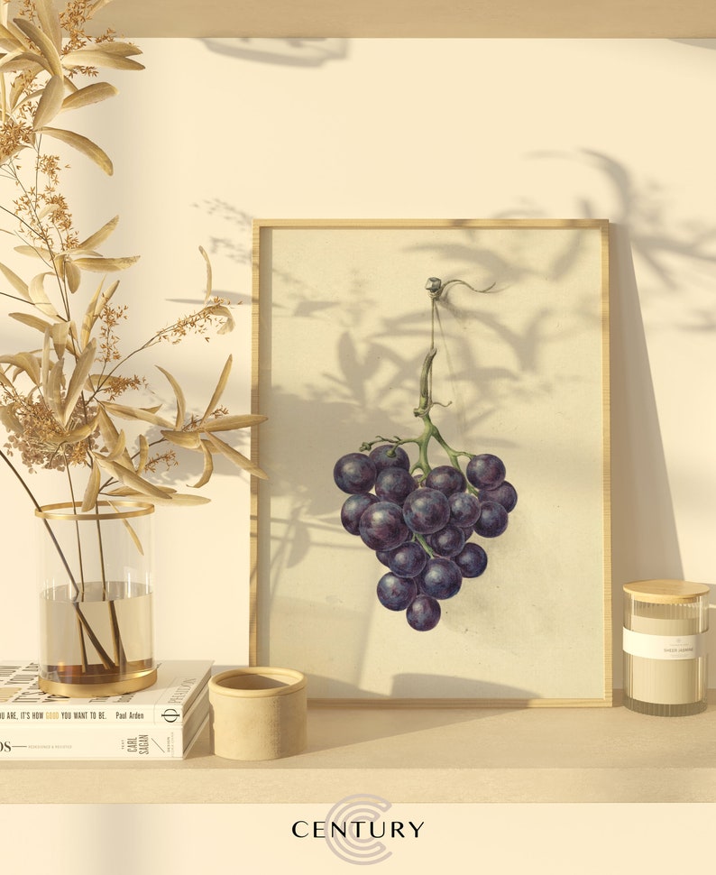 Vintage Blue Grapes Drawing PRINTABLE Art | Rustic Vintage Fruit Wall ...