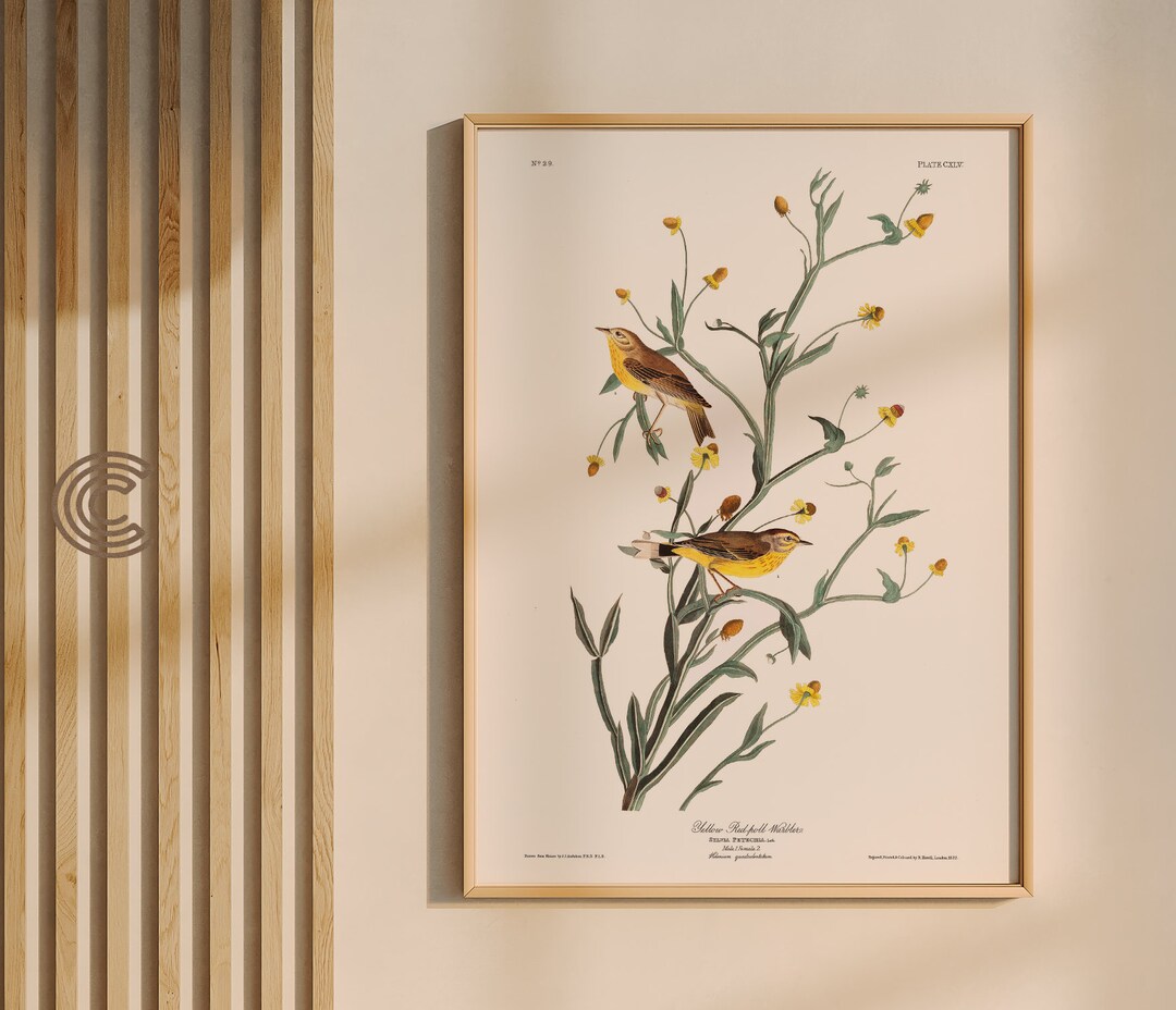 Yellow-red Poll Warbler PRINTABLE Wall Art | Vintage Tree Bird Rustic ...