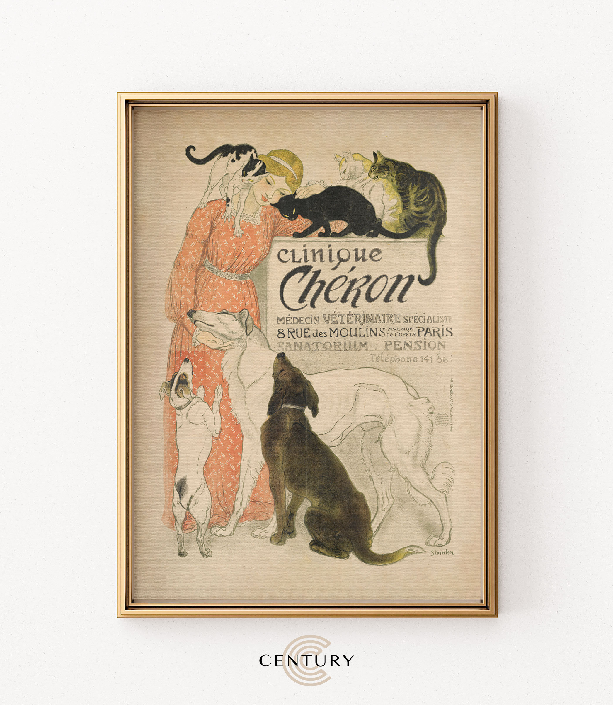Vintage Veterinarian Poster PRINTABLE Art | Vintage Historic Dogs Cats ...