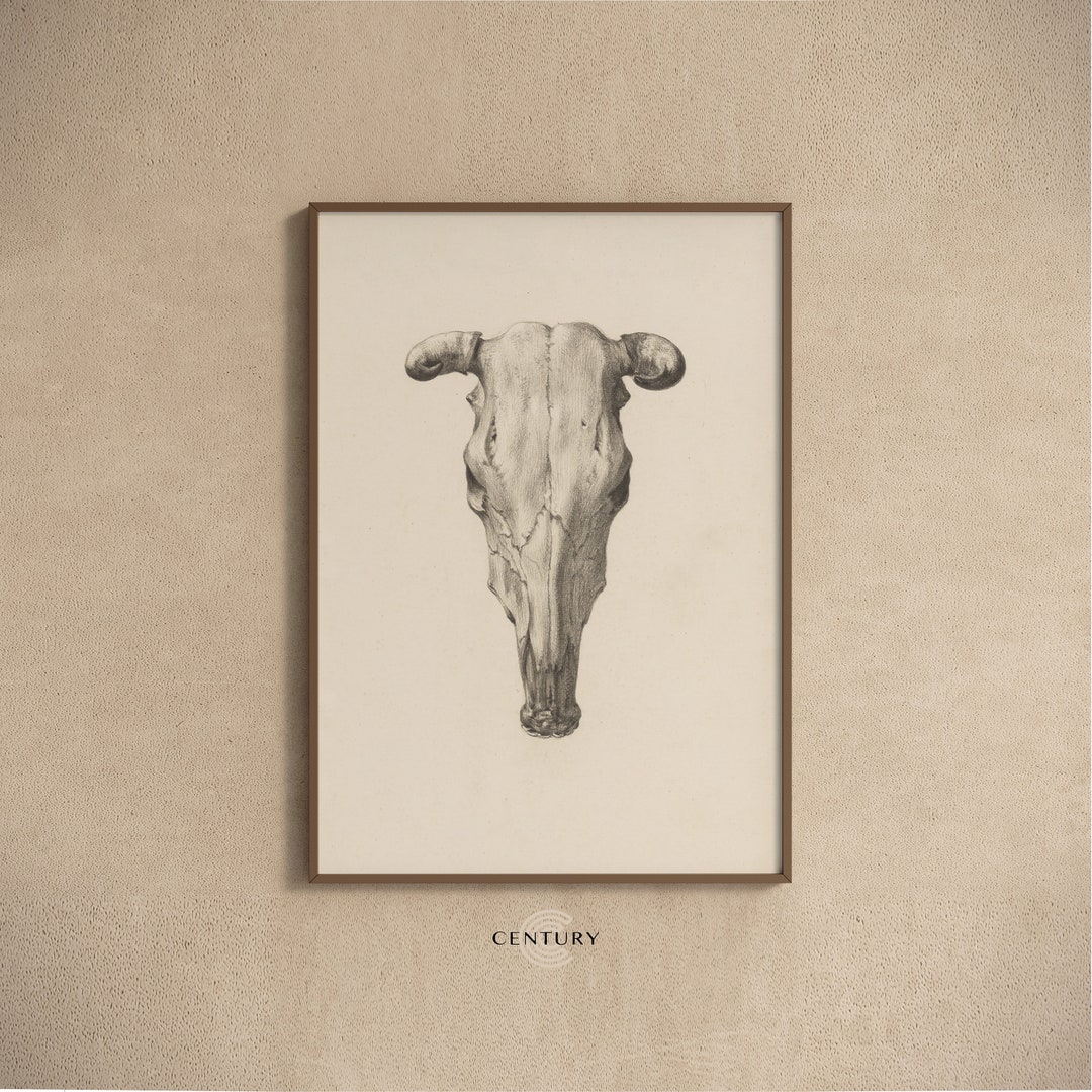 Vintage Bull Head Illustration PRINTABLE Art | Antique Farmhouse Bull ...