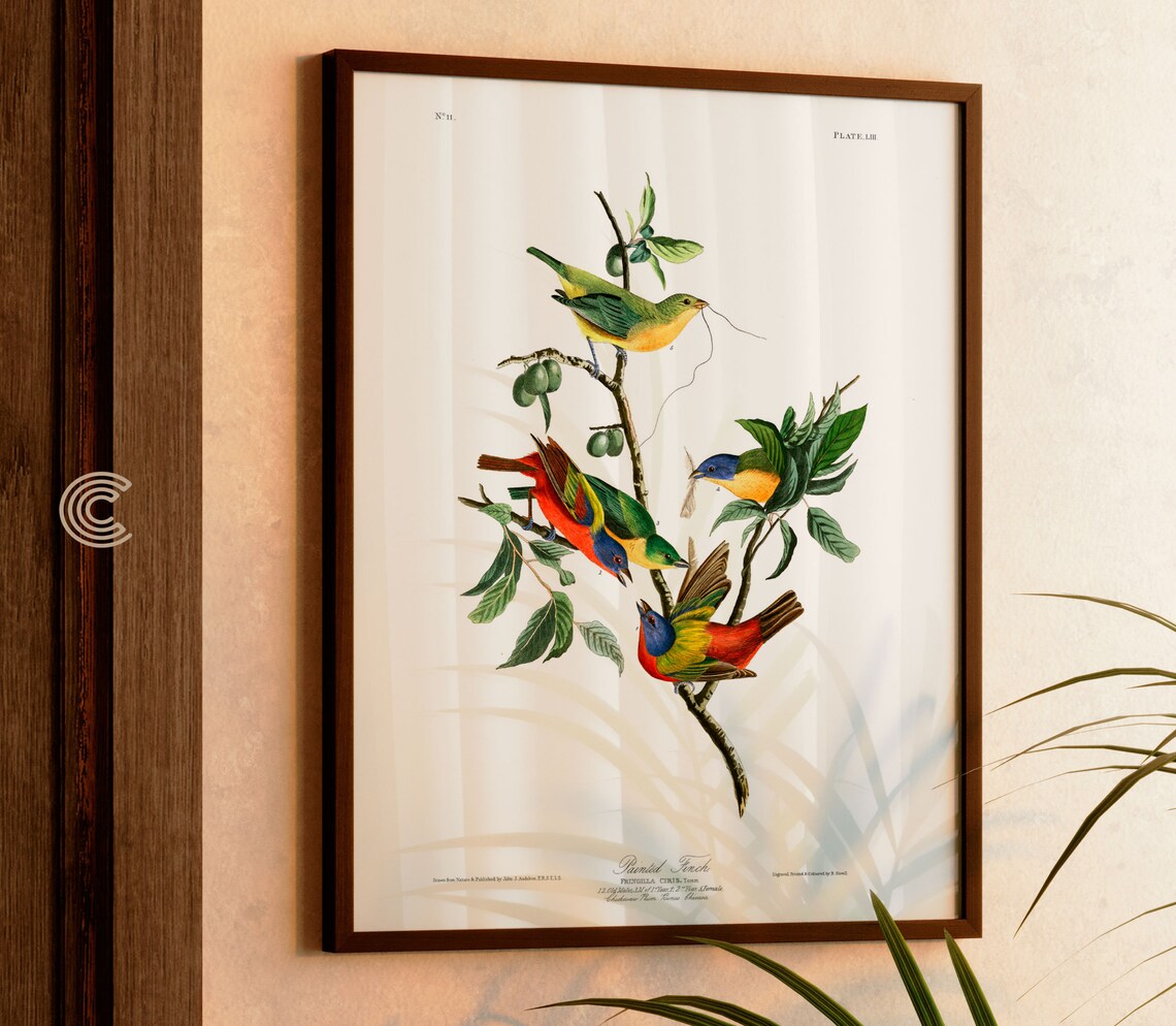Painted Finches PRINTABLE Wall Art | Vintage Flower Bird Rustic Wall ...