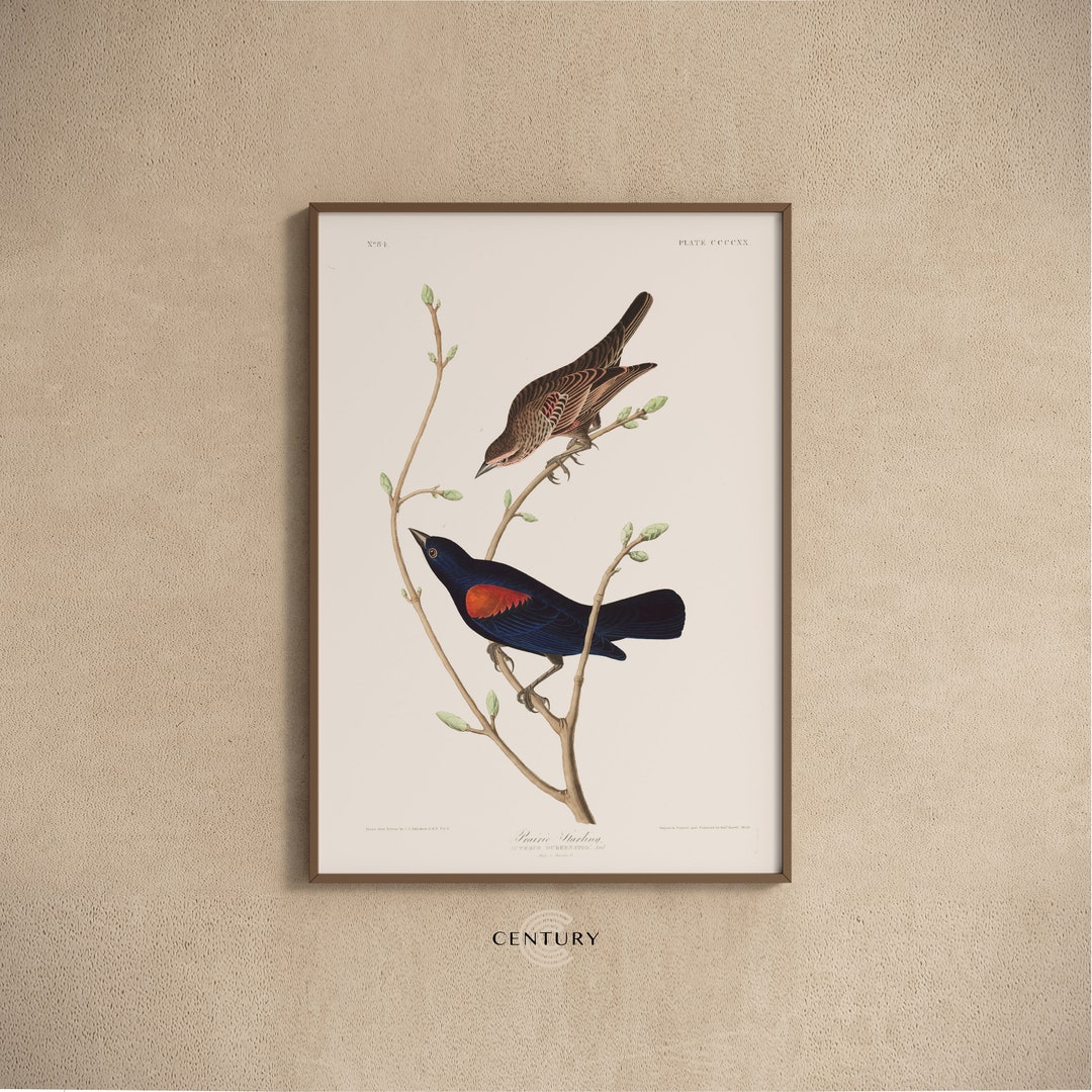 Prairie Starling PRINTABLE Wall Art | Vintage Tree Bird Rustic Wall ...