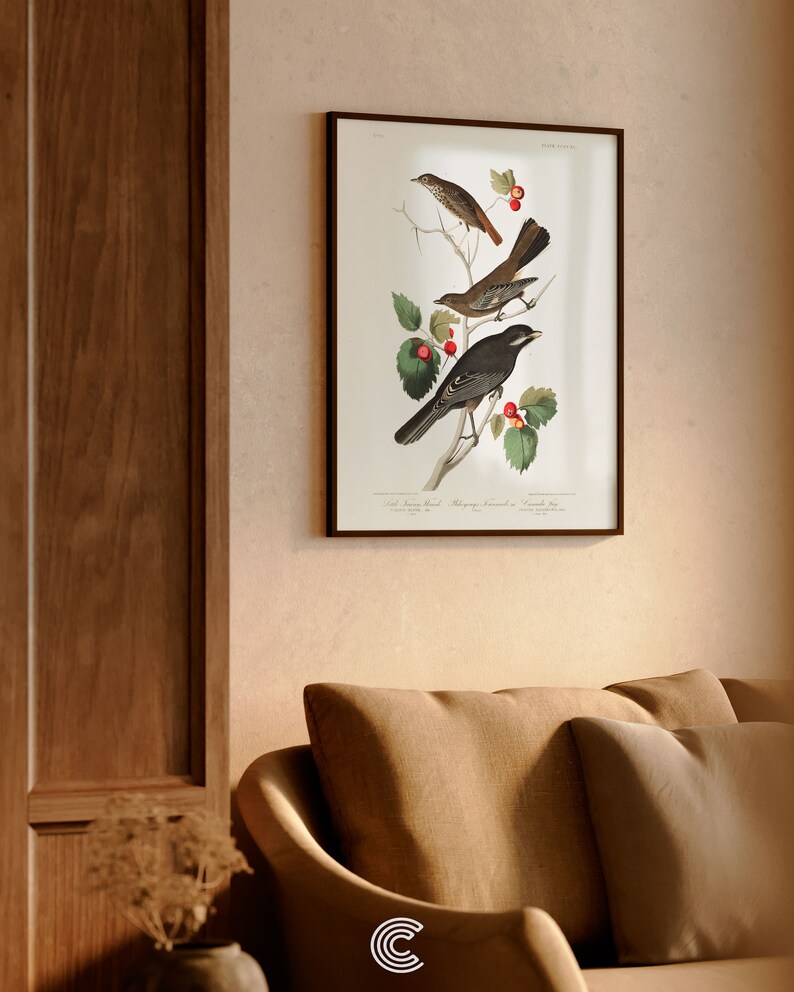 Little Tawny Thrush PRINTABLE Wall Art | Vintage Tree Bird Rustic Wall ...