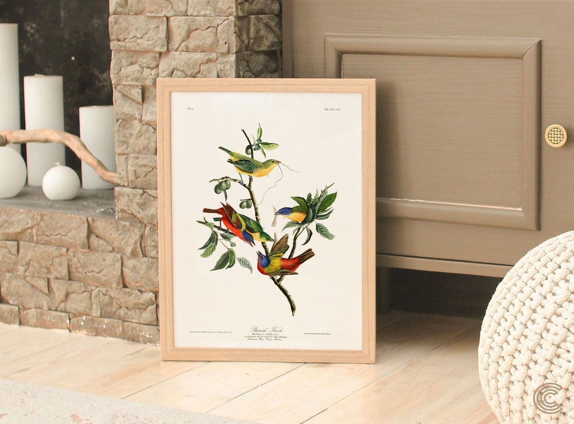 Painted Finches PRINTABLE Wall Art | Vintage Flower Bird Rustic Wall ...