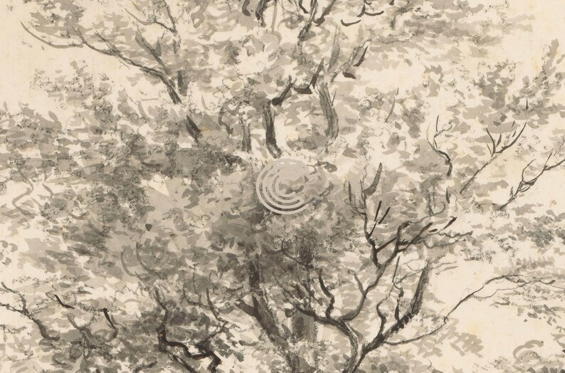 Vintage Tree Illustration PRINTABLE Art | Antique Tree Landscape Sketch ...