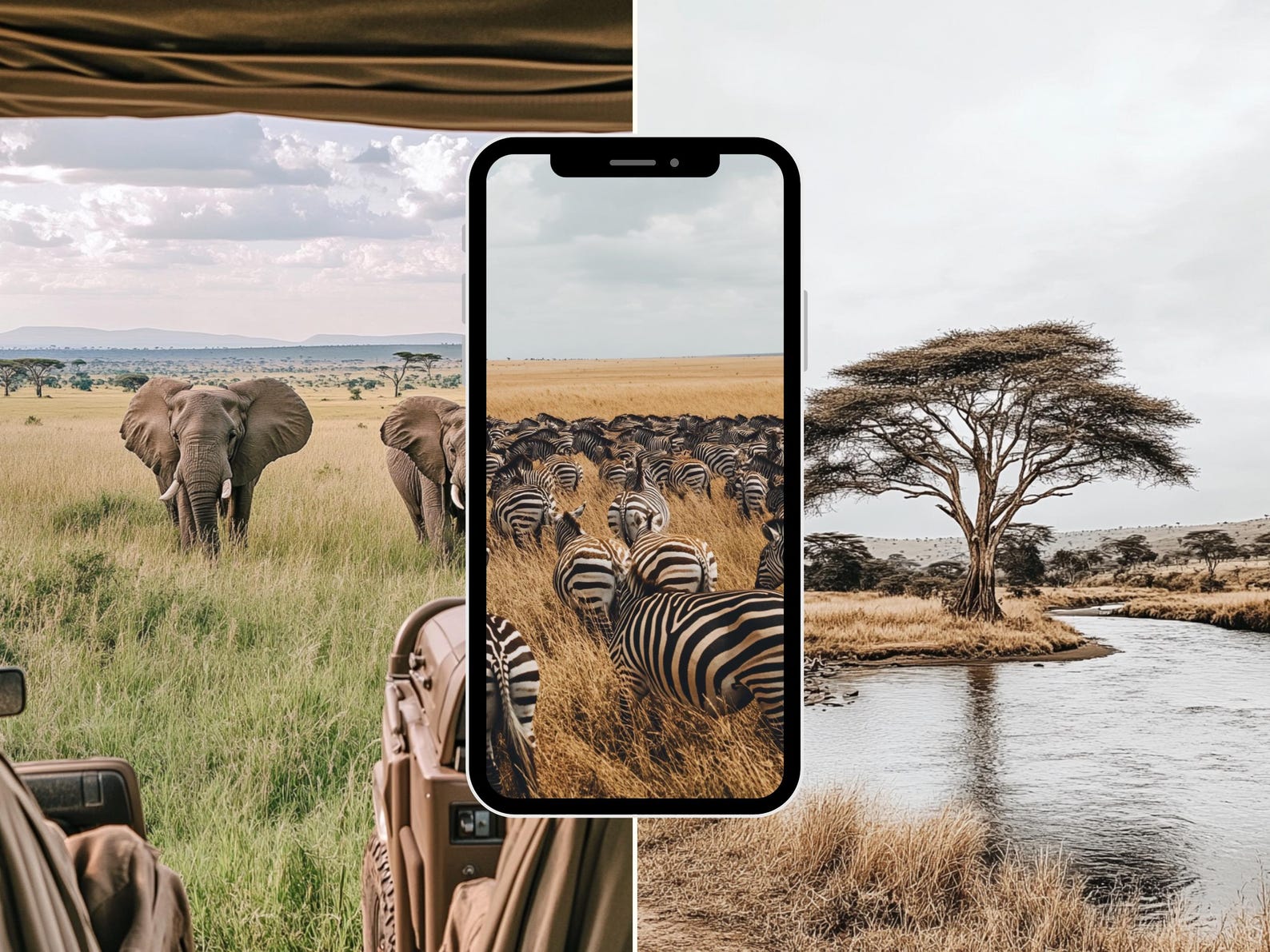 Safari Stock Photo Bundle MRR PLR Nature Images Faceless Marketing ...