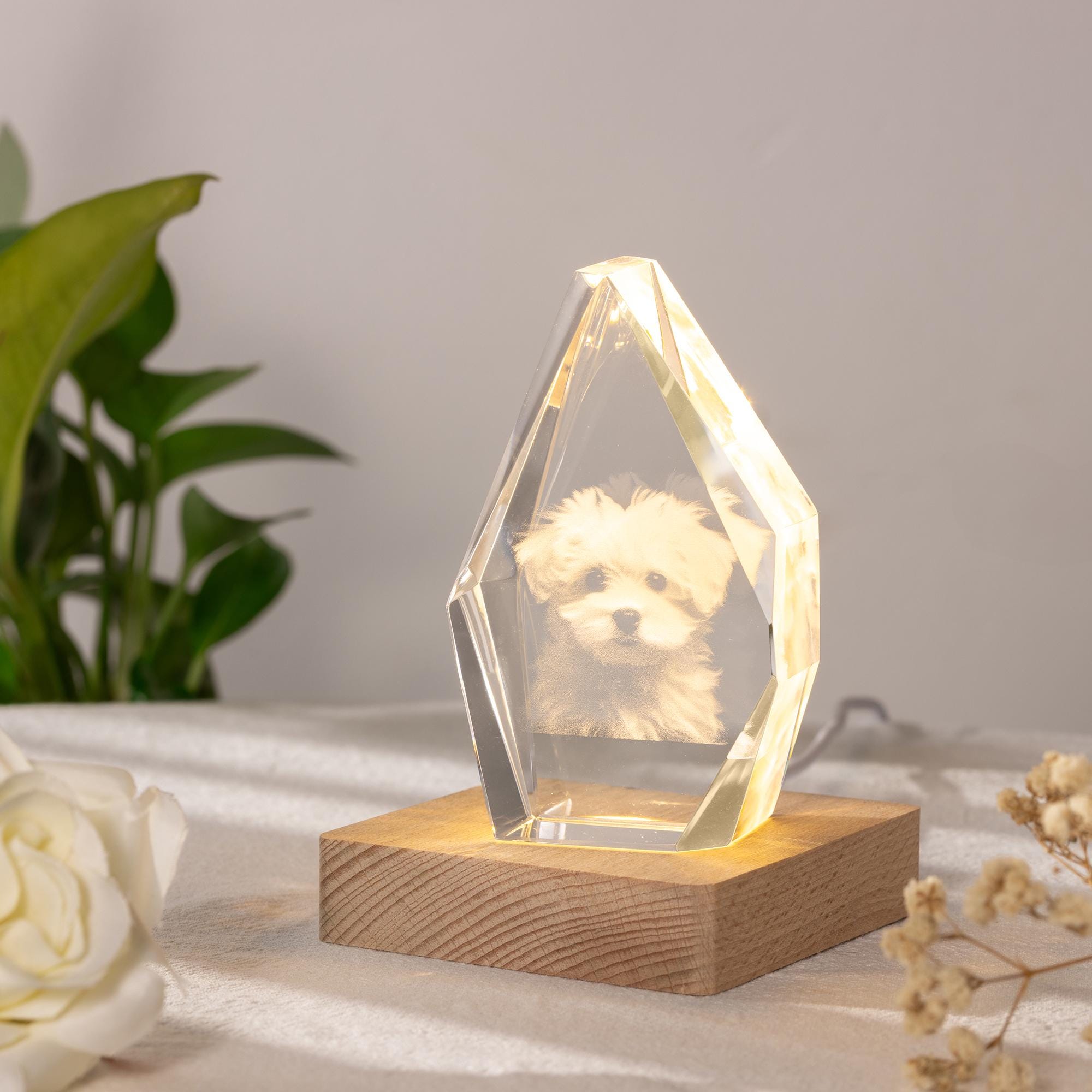 Personalized 3D Crystal Photo | Custom Engraved Picture & Glass Laser ...