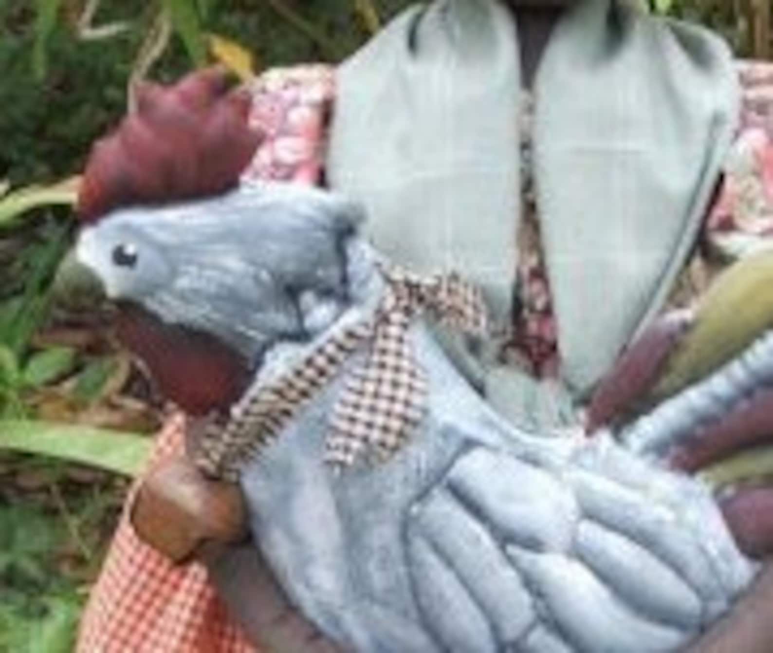 Primitive Rooster Plus Doll Pattern Mailed Version - Etsy