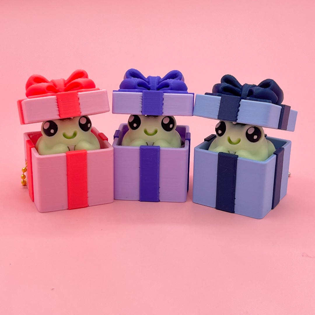 Frog Gift Box Fidget Clicker Keychain, Clicky Calming Birthday ...