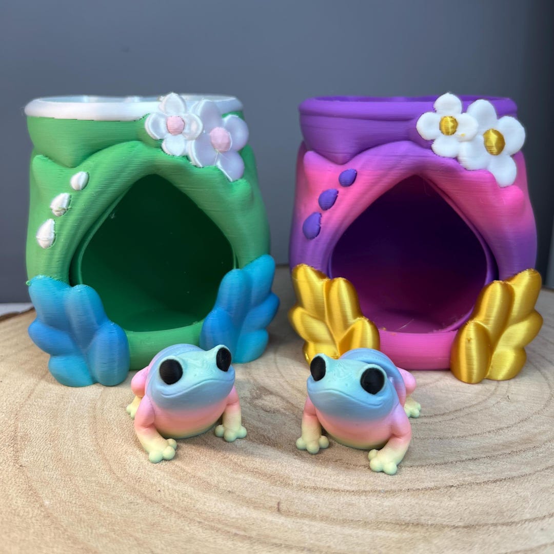 Mini Frog Fidget and Frog House I Reptile Decoration I Articulated Toy ...