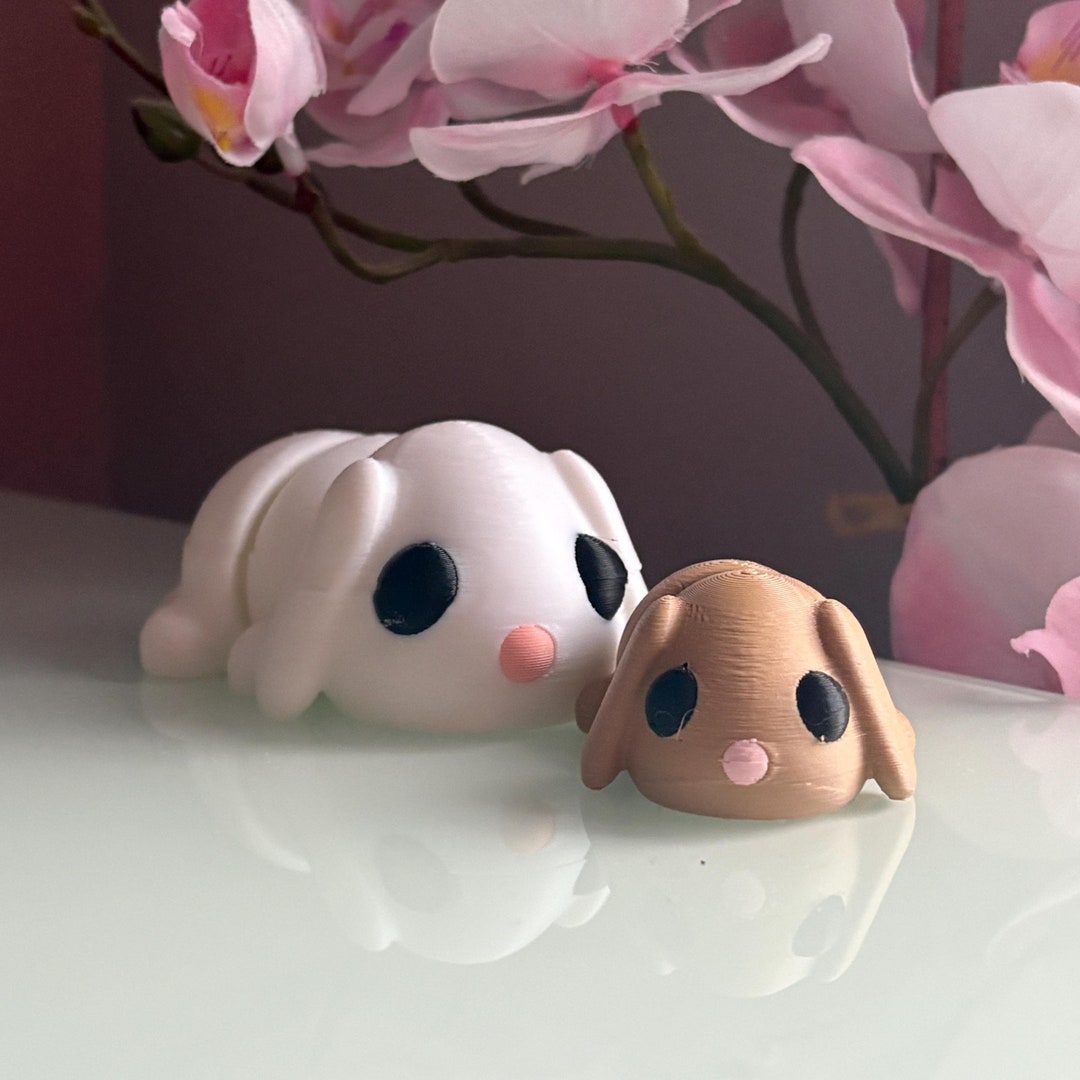 Bunny Rabbit Fidget Toy I Cute Animal Gift for Her, Him, Girl, Boy I ...