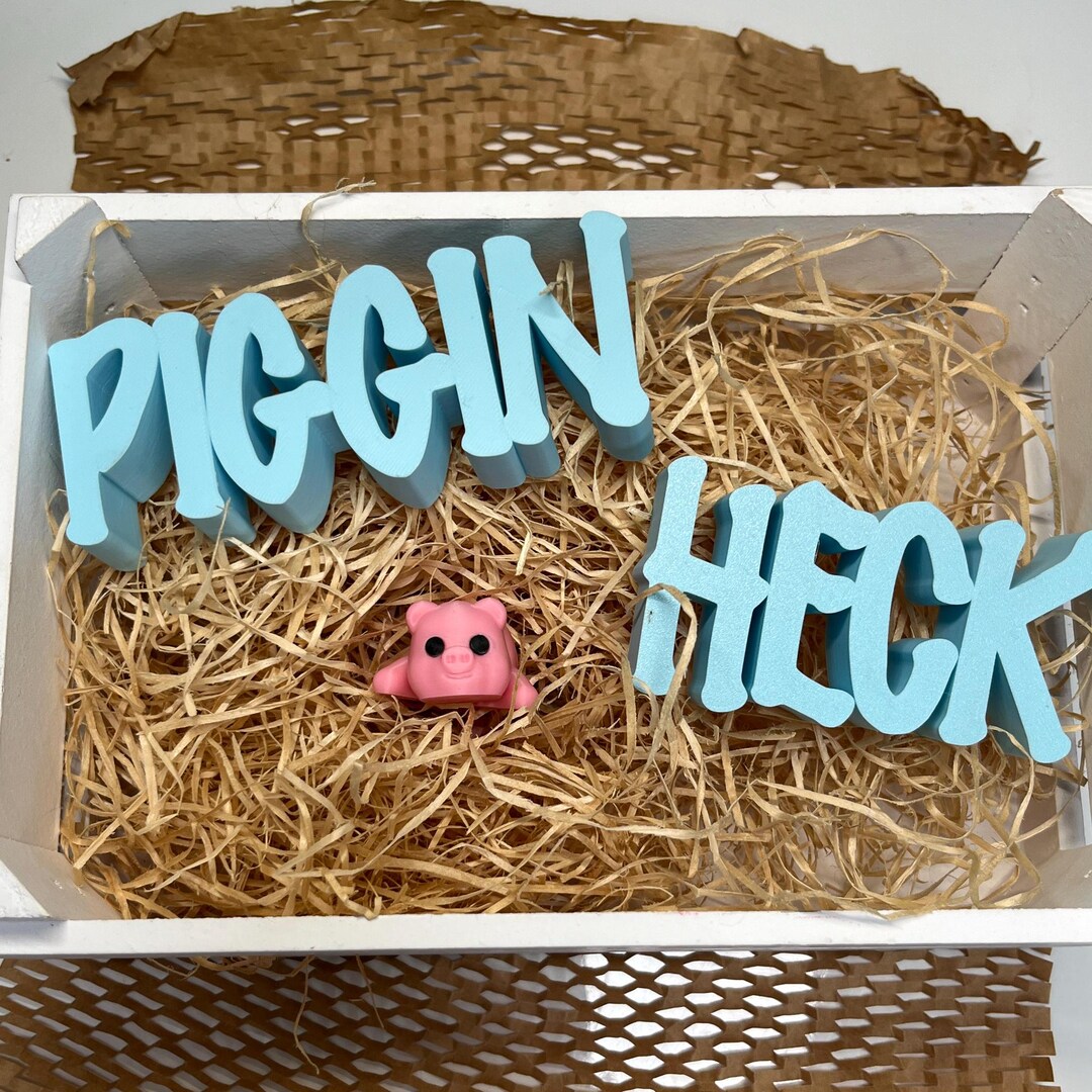 Pig Fidget Toy & Pigging Heck Sign I Funny Novelty Desk Art I Cute Fun ...