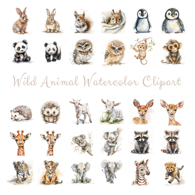 50 PNG Wild Animal Clipart, Watercolor Clipart, Watercolor Animal, Cute ...