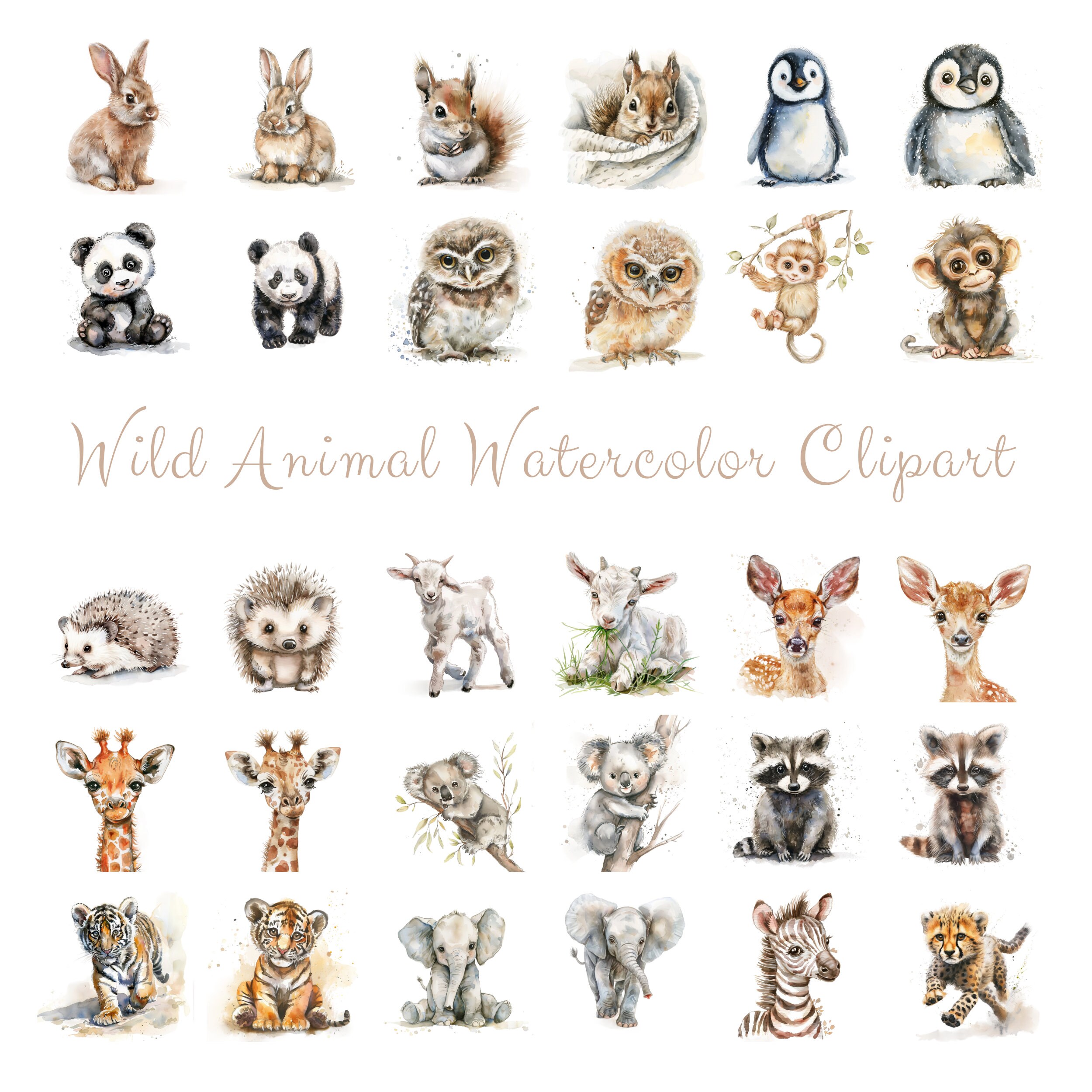 50 PNG Wild Animal Clipart, Watercolor Clipart, Watercolor Animal, Cute ...