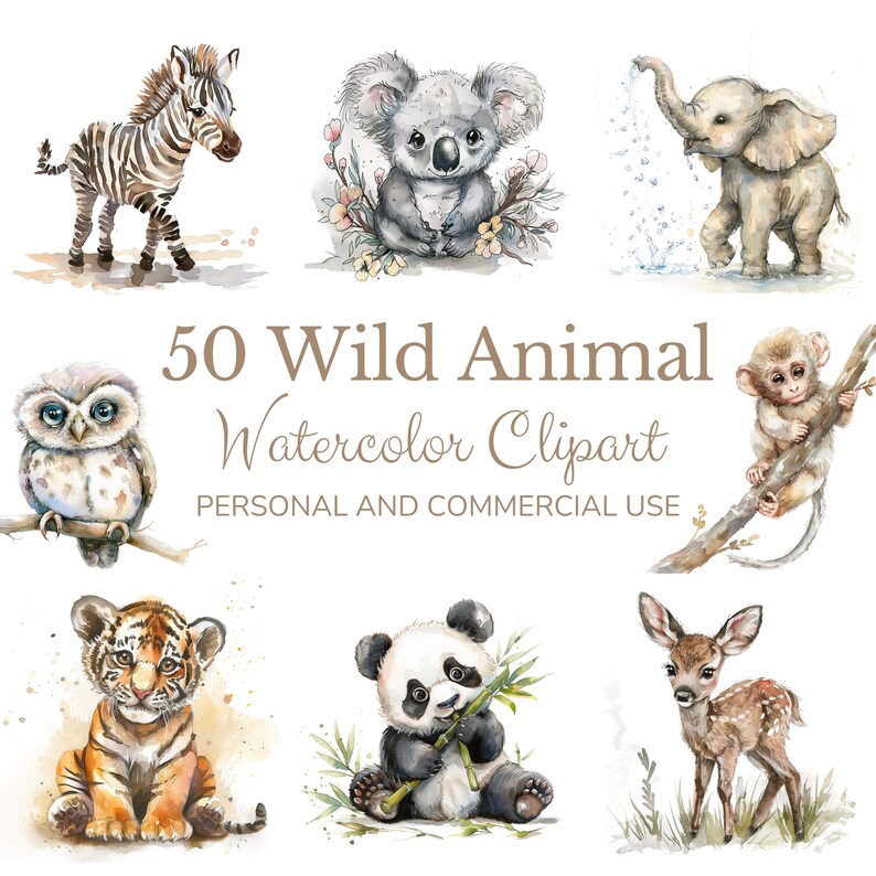 50 PNG Wild Animal Clipart, Watercolor Clipart, Watercolor Animal, Cute ...