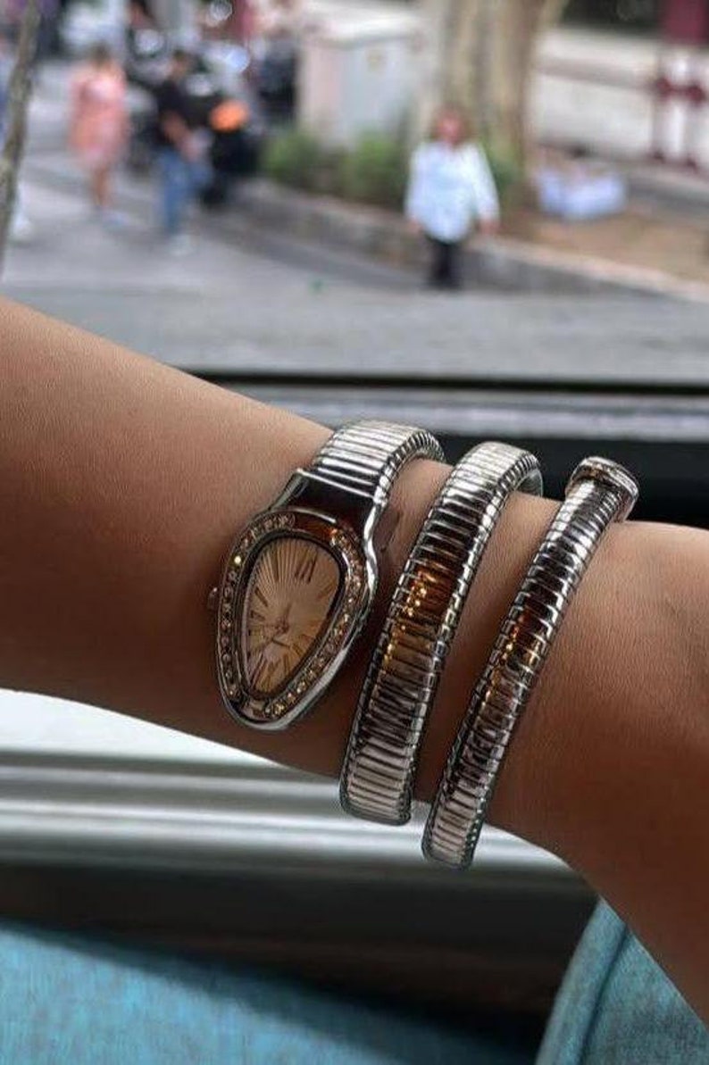 Luxury Snake Wristwatch, Snake Watch,women's Watch, Silver Color ...