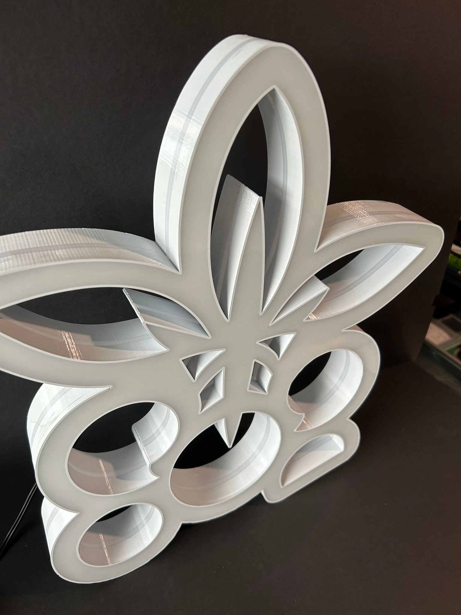 LED Illuminated Letters & Individual Logos Salon Logo, Wall Decoration ...