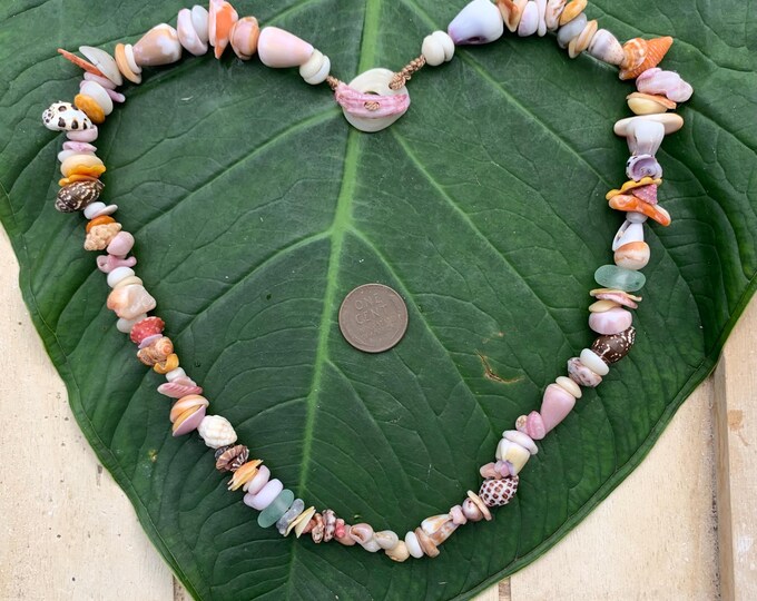 Colorful Kauai Shell Piece Necklace - Etsy