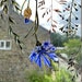 Botanical Meadow Flower Shop Window Decal Border for Retail Storefront ...