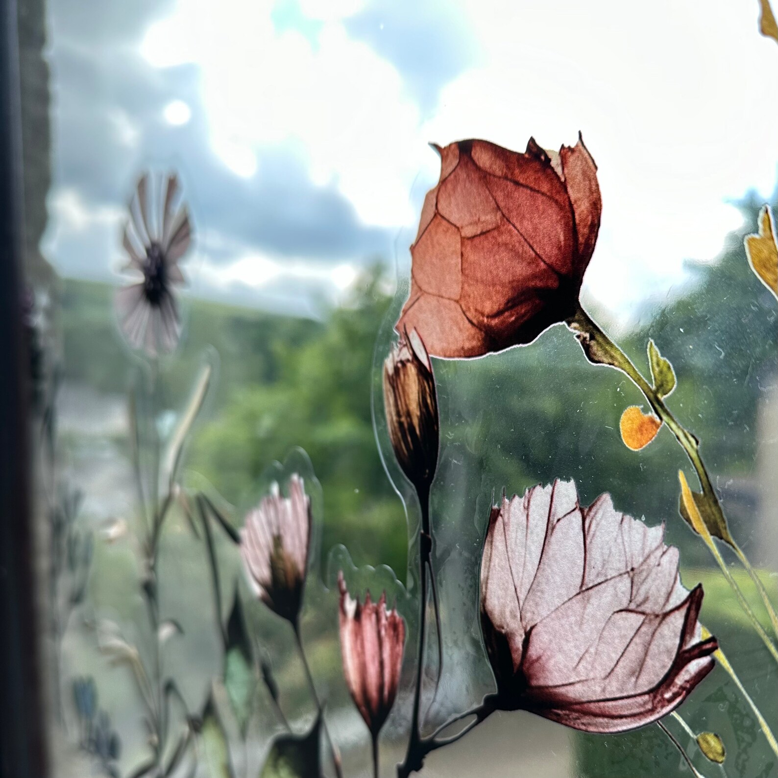 Magic Botanical Flower Shop Window Border Decal for Storefront Display ...