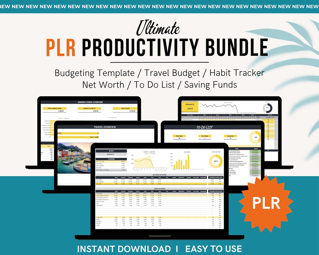 PLR Google Sheets Bundle: Budget, Habit, Net Worth Templates (resell ...