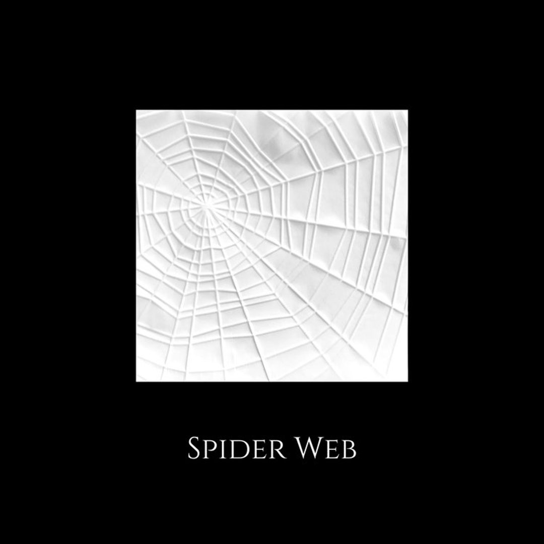Spider Web Embossing Sheets 6/pkg - Etsy