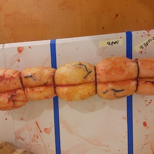 Fake Intestine - Etsy