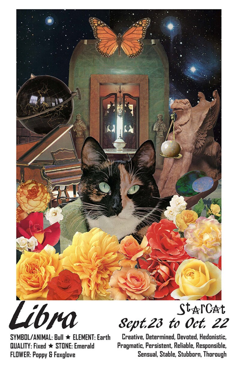 Libra StarCat Zodiac Astrology Art Print Cat Lover gift | Etsy