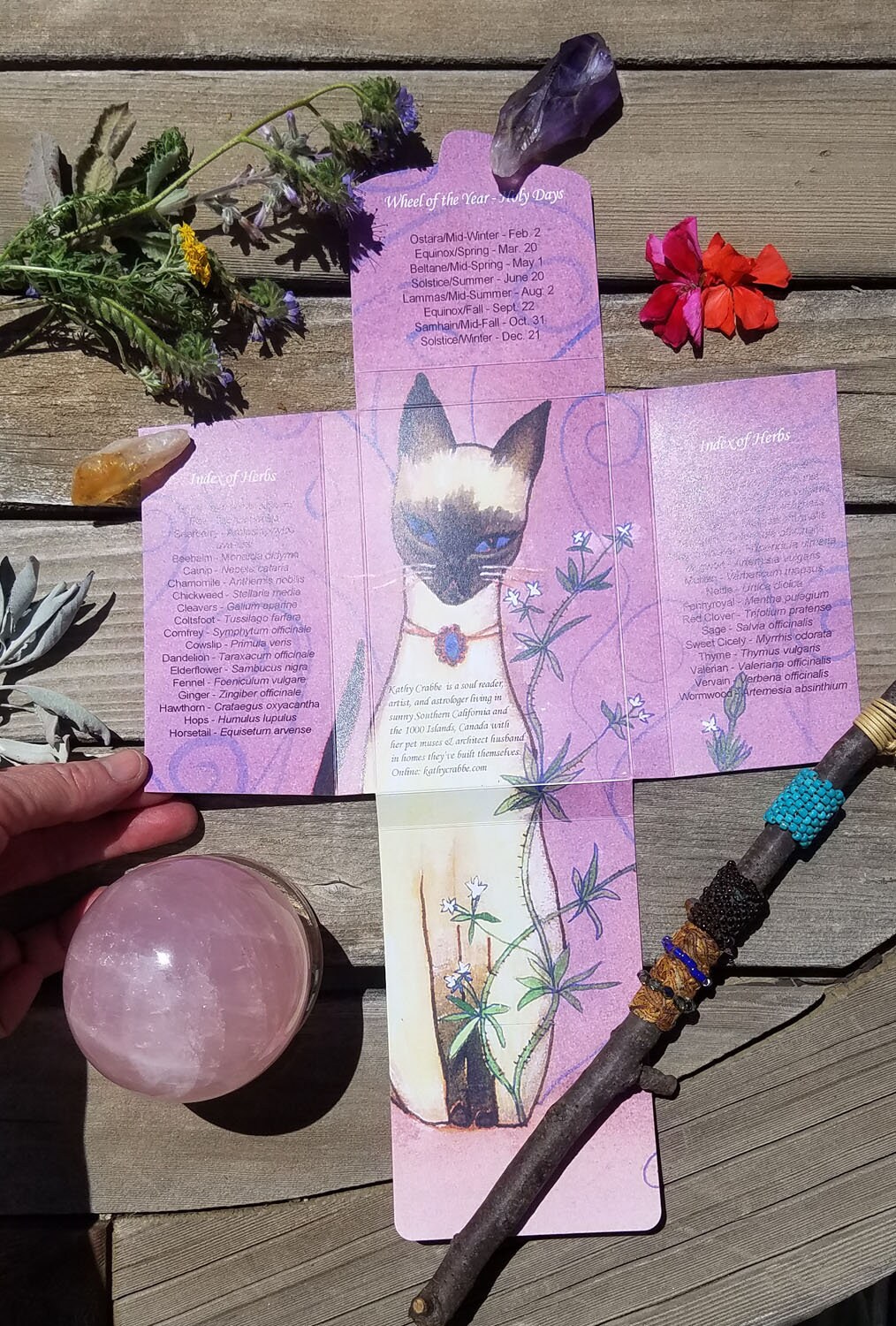 Cat Herbal Oracle Deck 36 Cards Boxed Oracle Cats - Etsy UK