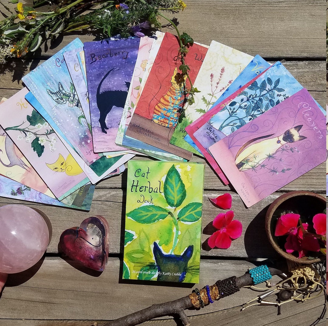 Cat Herbal Oracle Deck 36 Cards Boxed Oracle Cats - Etsy UK