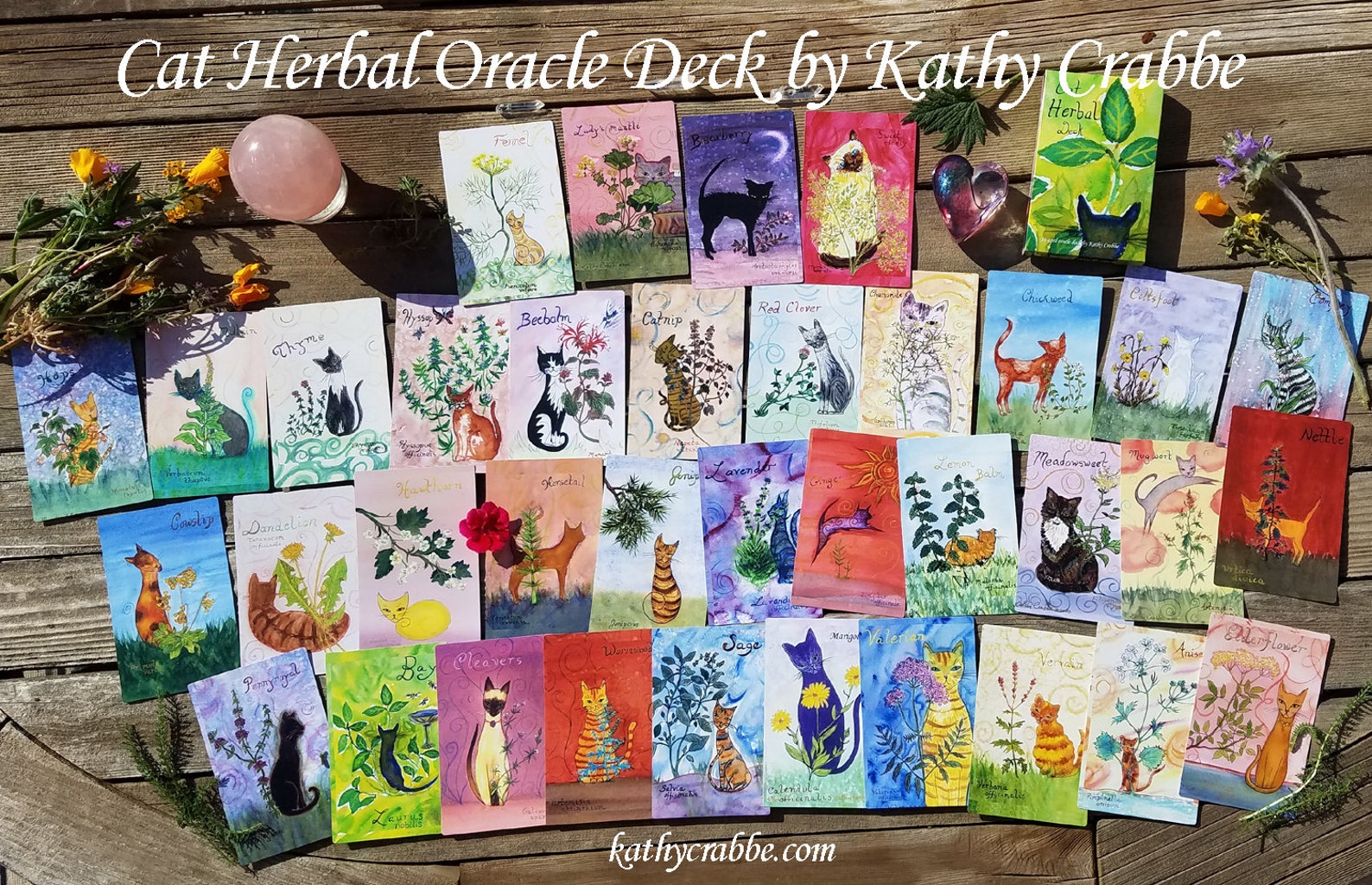Cat Herbal Oracle Deck 36 Cards Boxed Oracle Cats - Etsy
