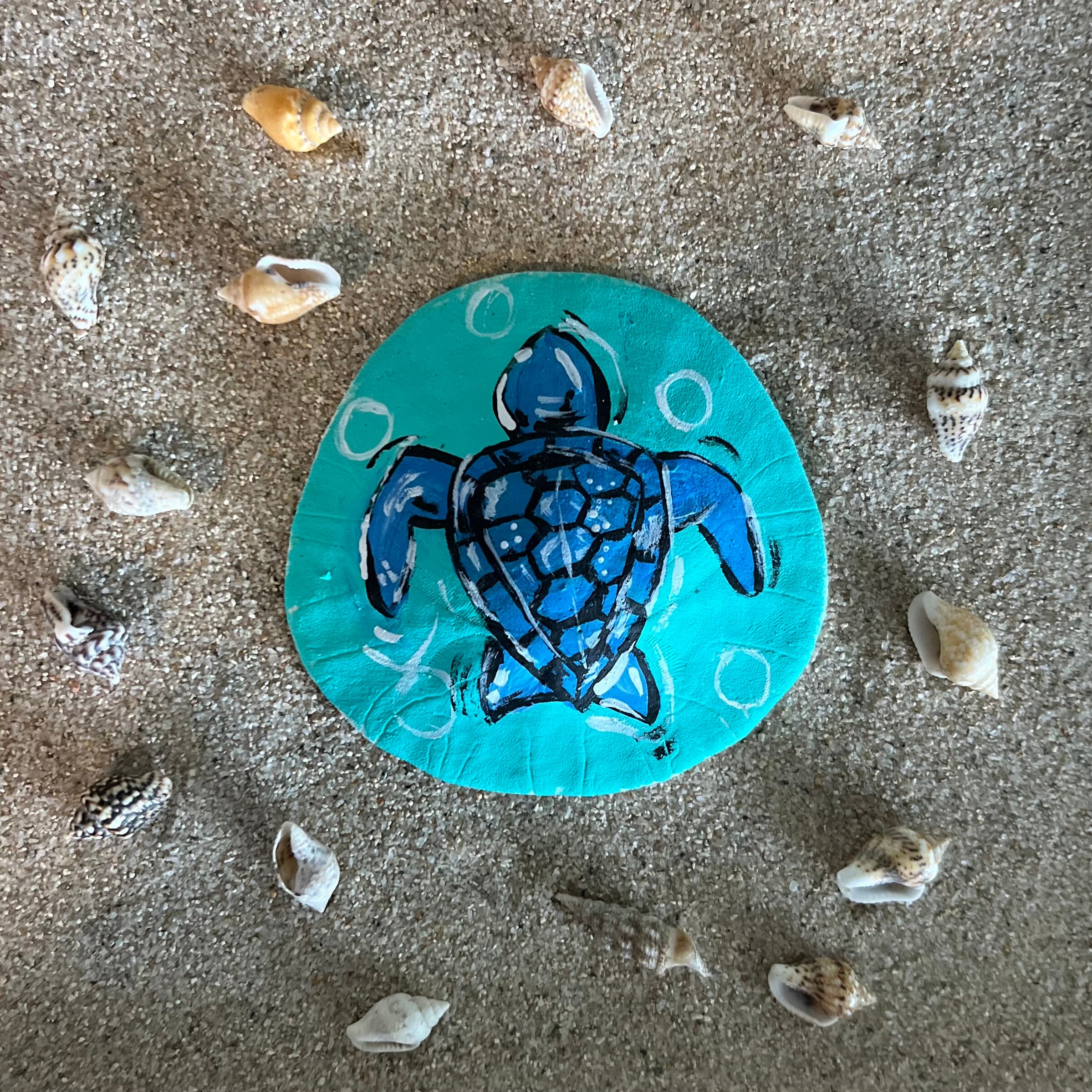Blue and Teal Abstract Turtle Hand-painted Sand Dollar - Etsy